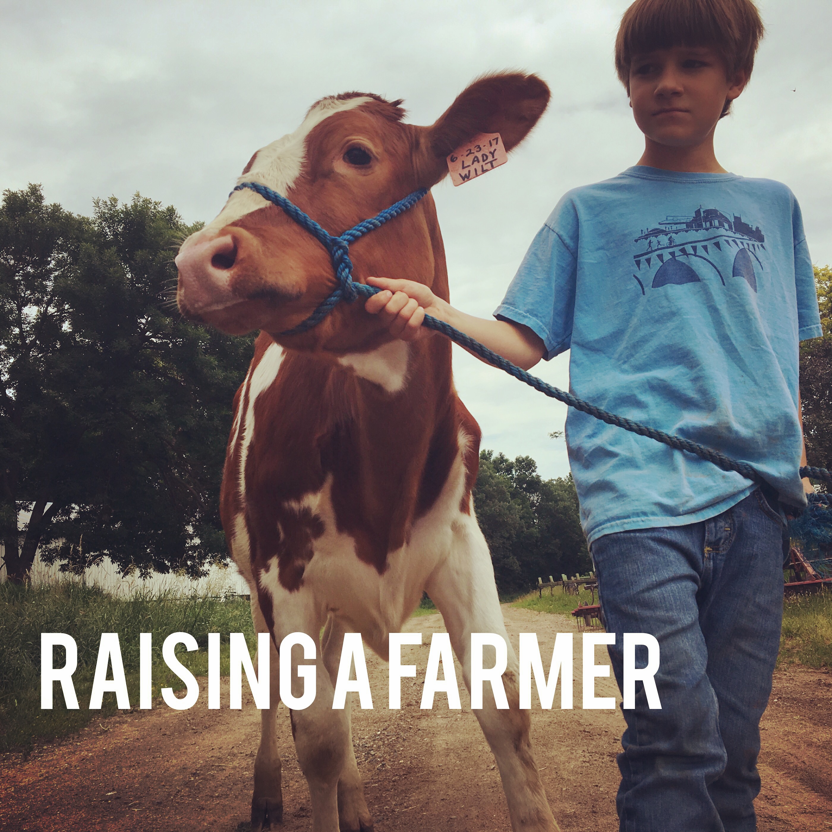 There are no tears in showing cows | Raising a Farmer